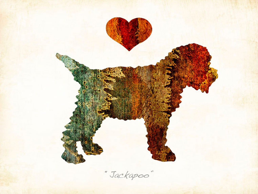 Jackapoo Dog Breed Watercolor Art Print Signed by Artist Dan Morris ...