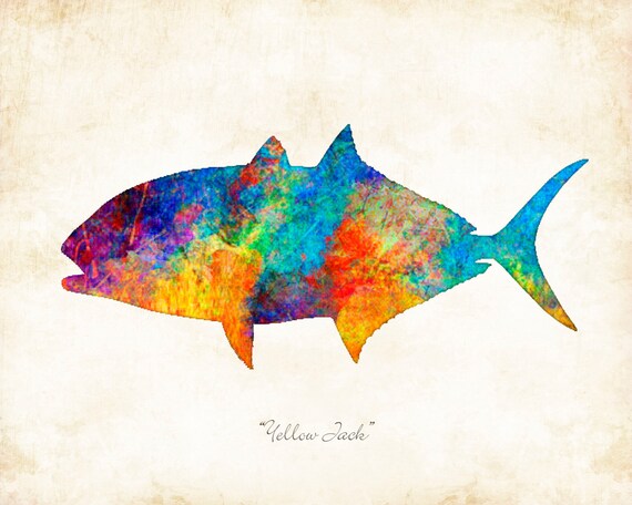 Yellow Jack Illustration