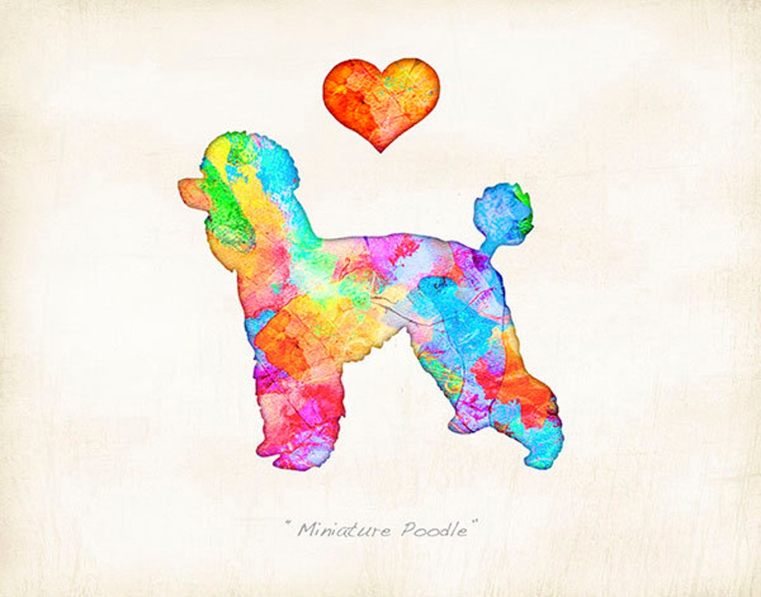 Miniature Poodle Dog Breed Watercolor Art Print by Dan Morris - Etsy