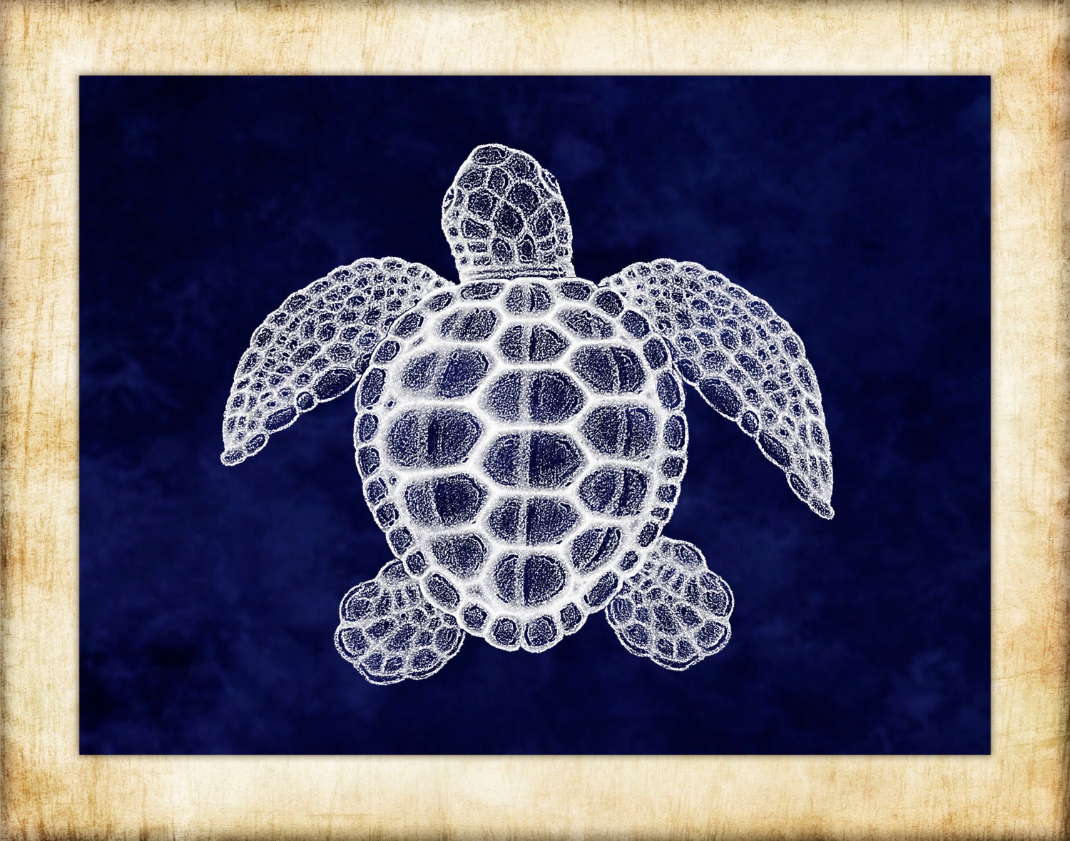 Sea Turtle Wood Block Art Print by Dan Morris Signed Choose | Etsy