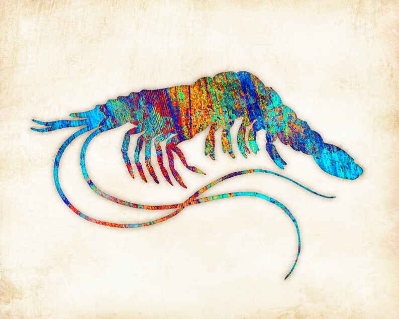 Watercolor Shrimp Art Print Signed by Artist Dan Morris | Etsy
