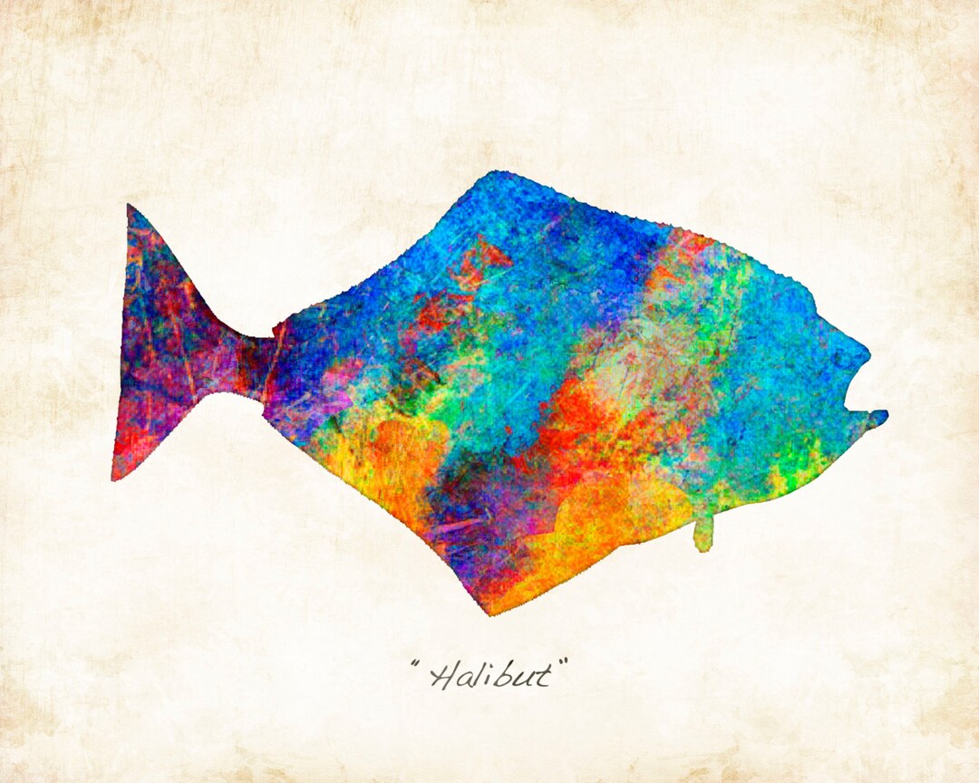 Halibut Fish Watercolor Art Print Signed by Artist Dan Morris, Choose ...