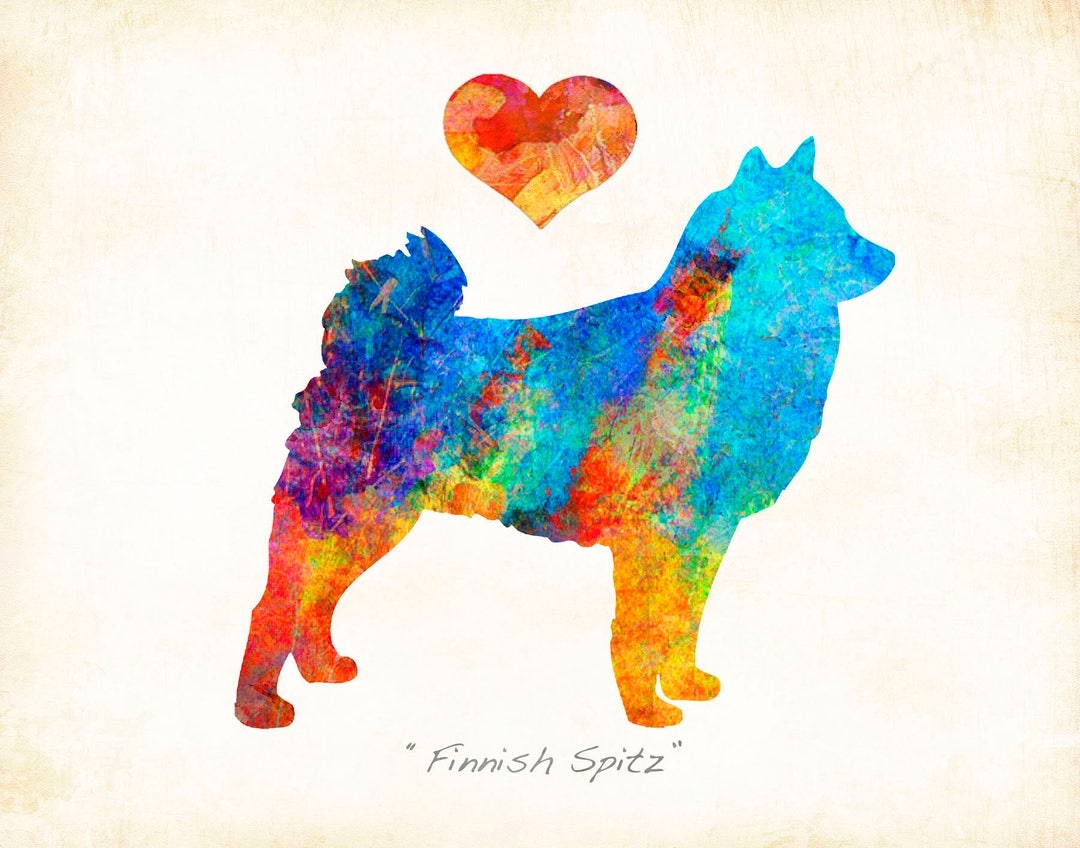 Finnish Spitz Dog Breed Watercolor Art Print Signed by Dan - Etsy