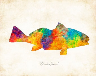 Black Drum Fish Art - Etsy