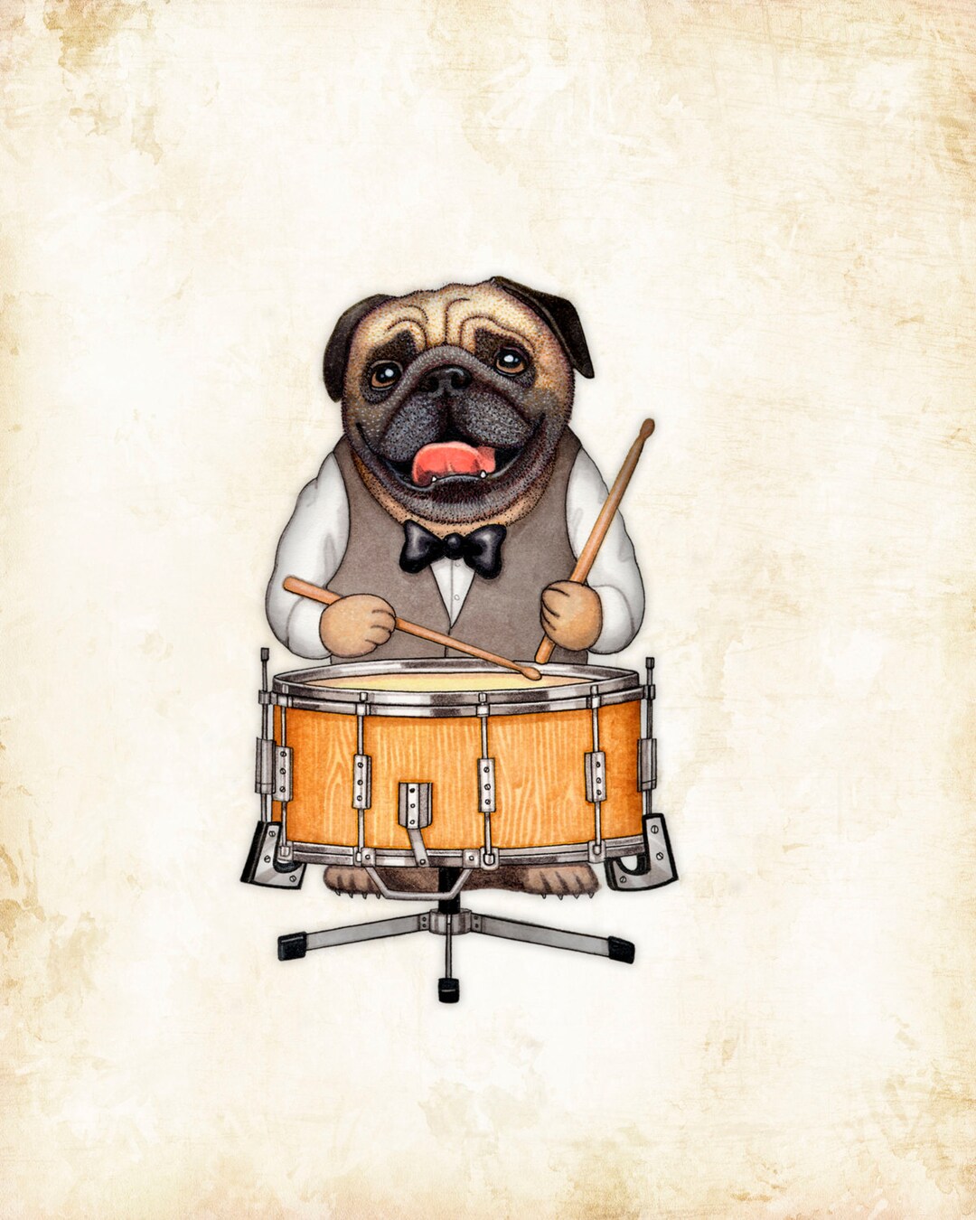 Pug Dog Drummer Art Print Signed by Artist Dan Morris Titled beats, the ...