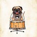 Pug Dog Drummer Art Print Signed by Artist Dan Morris Titled beats, the ...