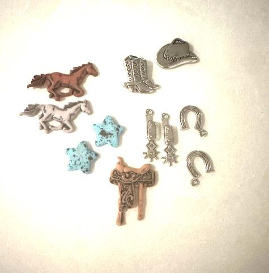 Cowboy Western Push Pins Thumbtacks or Magnets X10 Boy's Cork Board ...