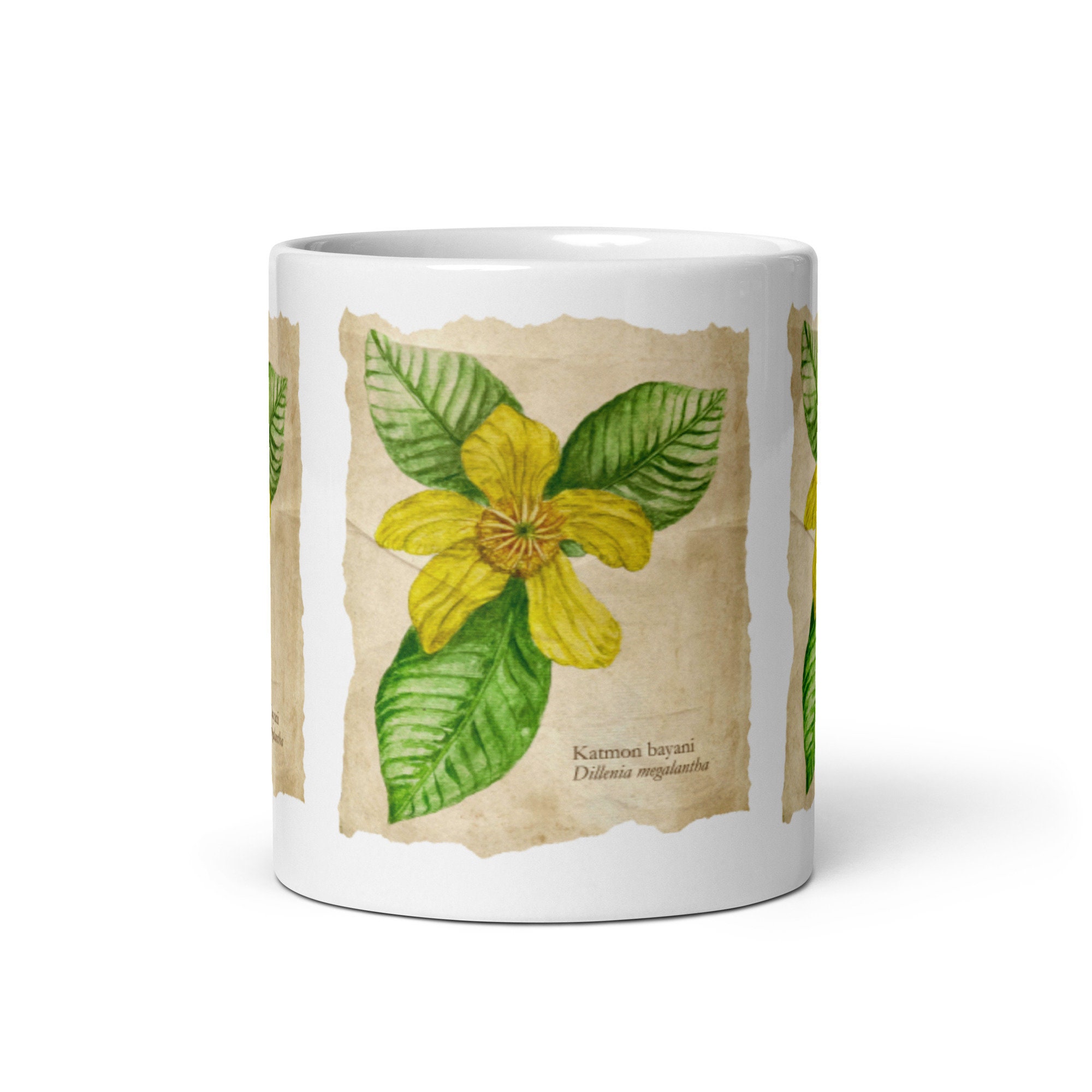 Jordan Bayani Omegle