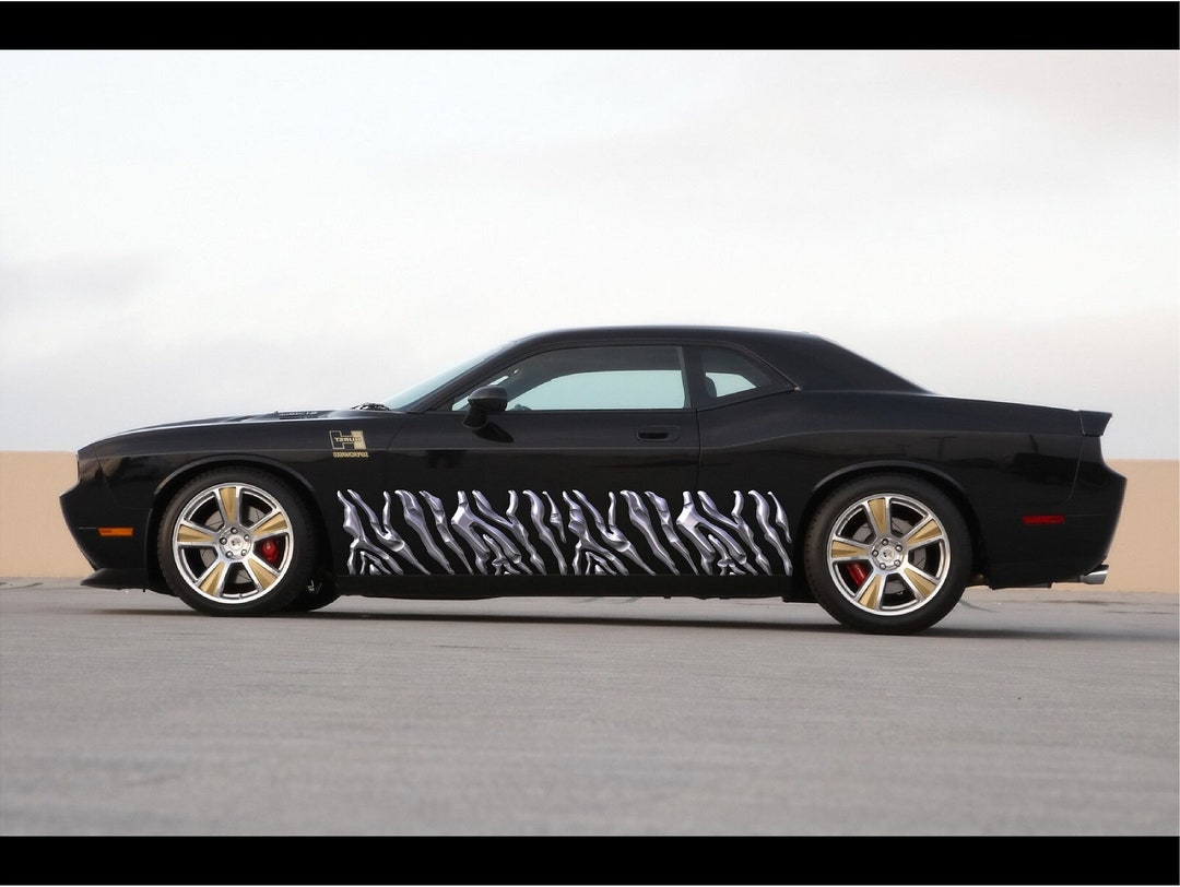 Chrome Zebra Stripes Car Graphics Kit Set of 2 - Etsy
