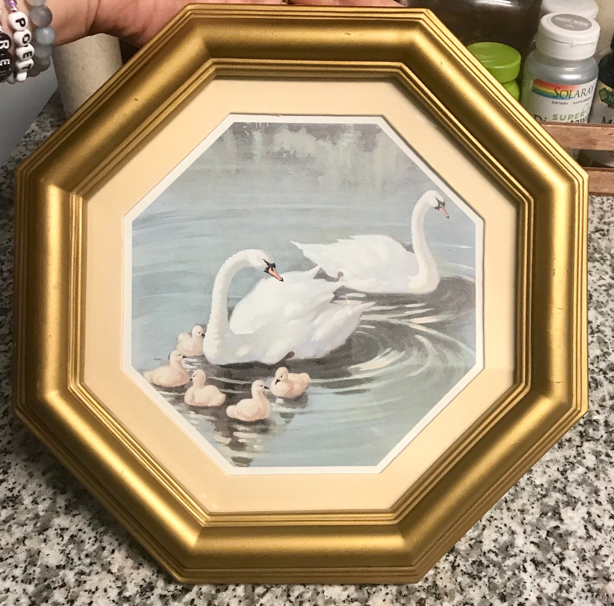 Vintage Swan Frame - Etsy
