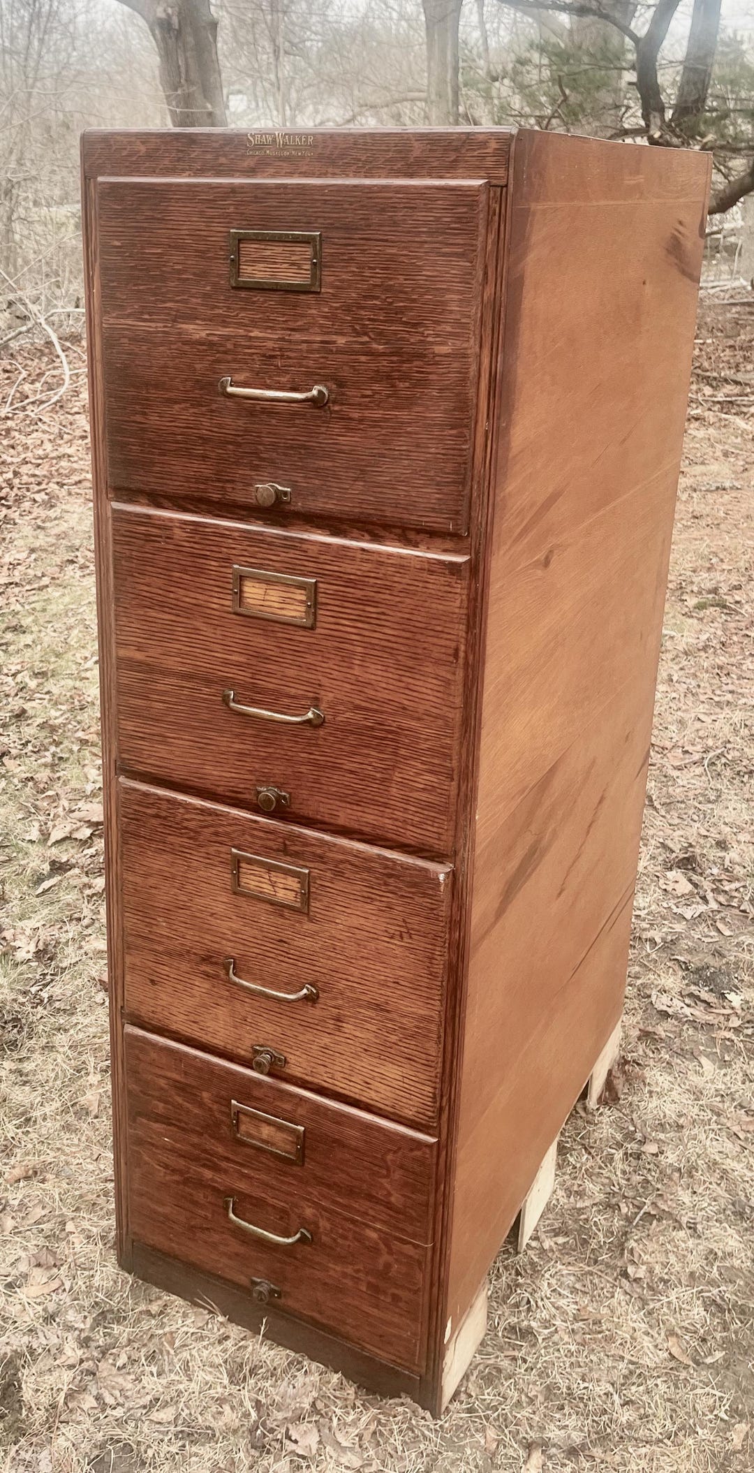 HOLD for Ann. Shaw Walker File Cabinet 4 Drawers Quarter Sawn Tiger Oak ...