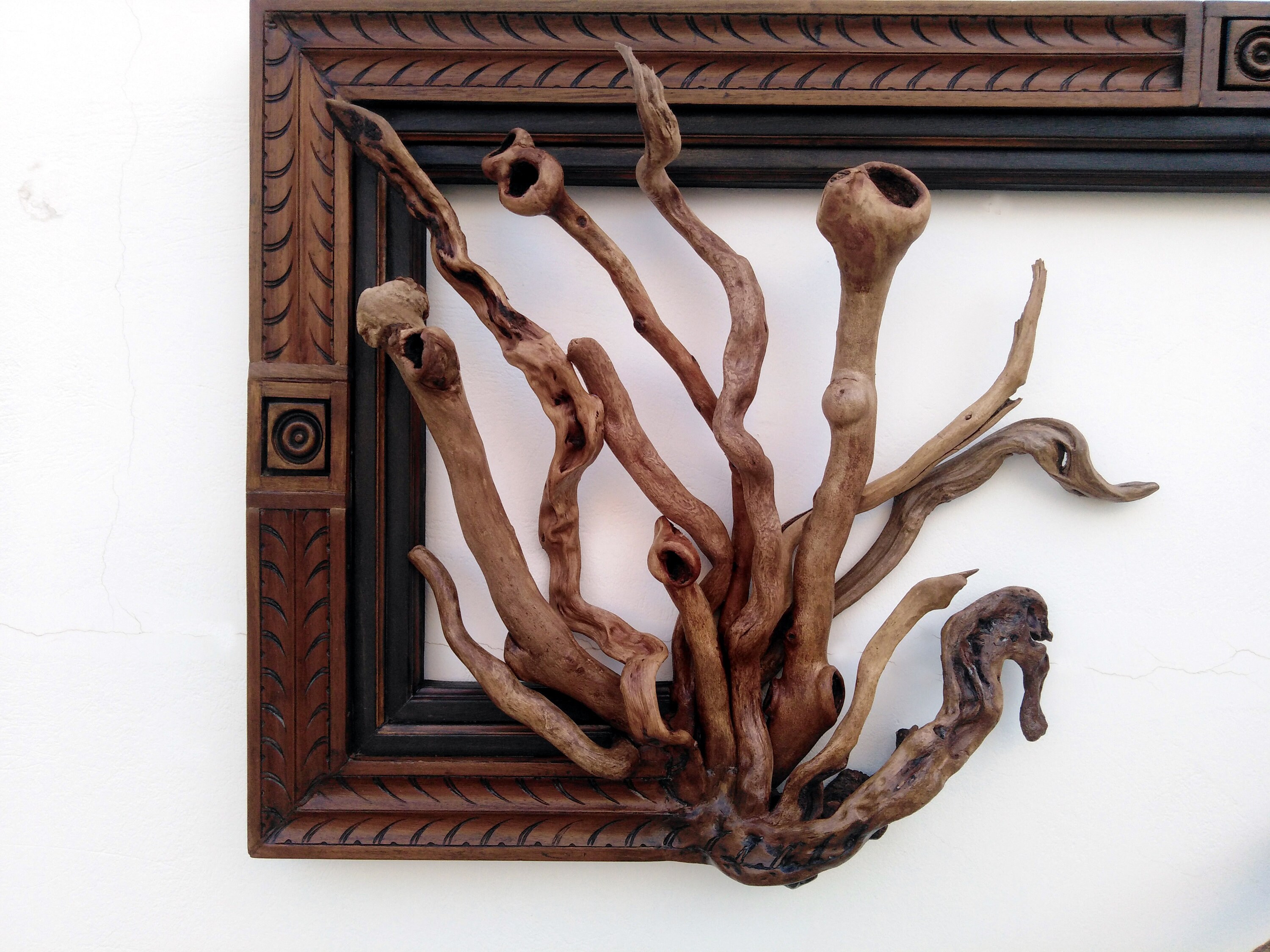 Driftwood Wall Art Branch Frame Designthe Peafowl, Solid Wallnut, Oak ...