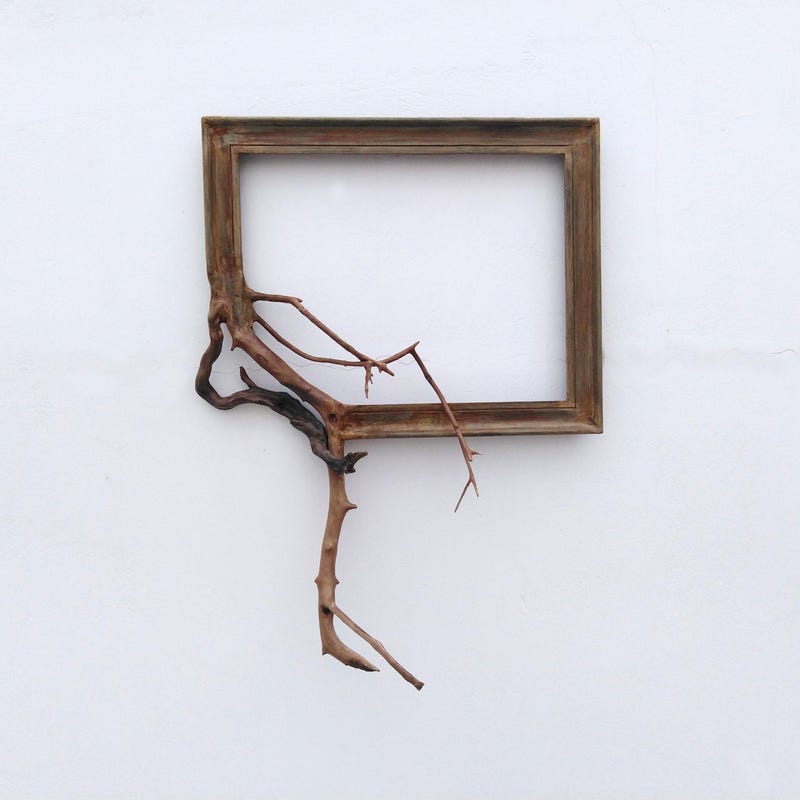 Branch Wall Art - Etsy
