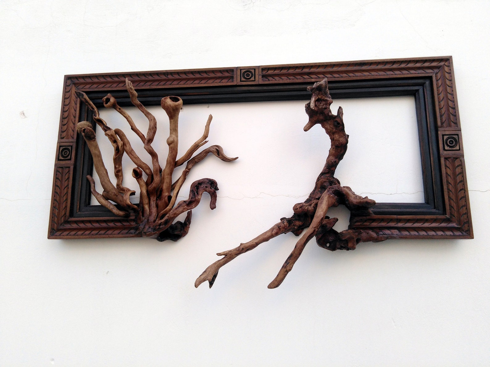 Driftwood Wall Art Branch Frame Designthe Peafowl, Solid Wallnut, Oak ...