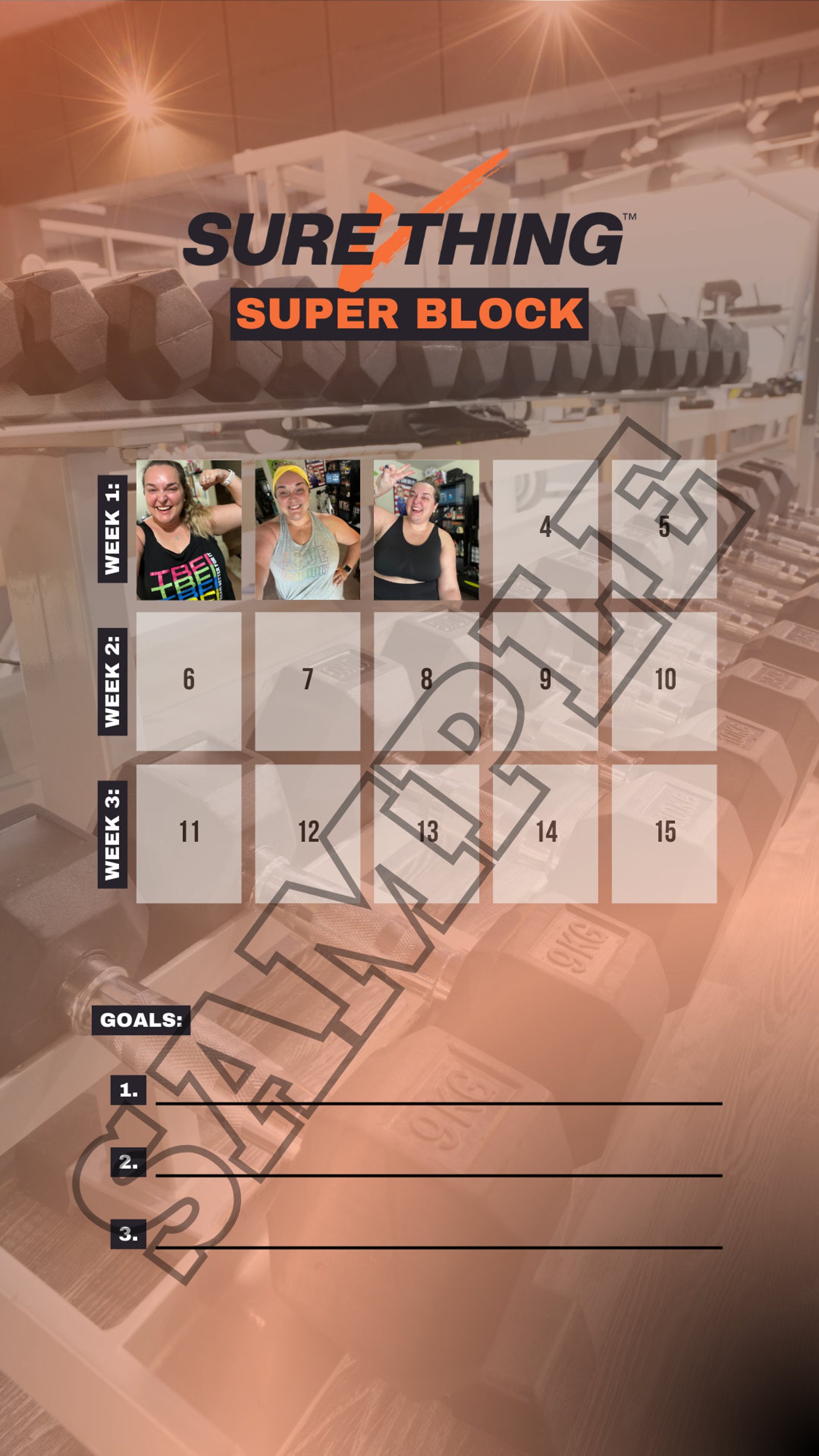 Sure Thing Super Block Sweaty Selfie Tracker | Bodi Tracker | Social ...