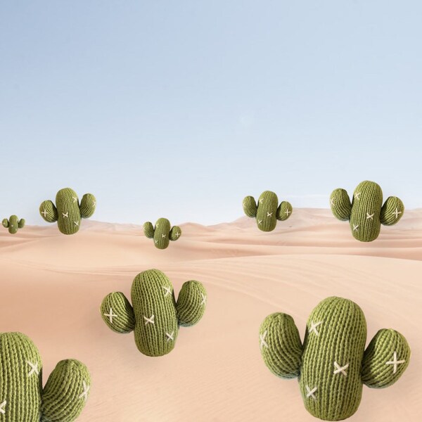 Knit Cactus - Etsy
