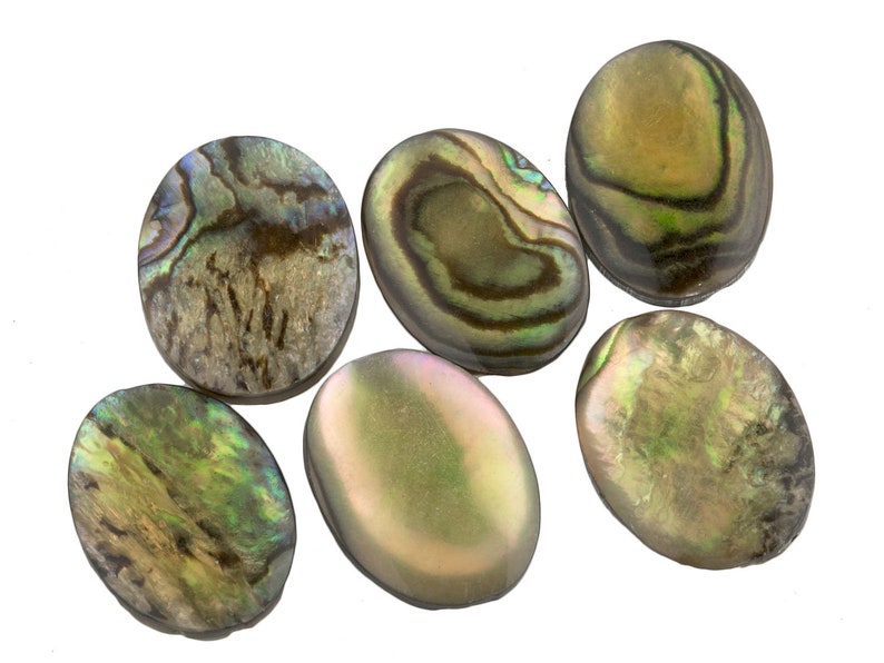 Natural Solid Abalone Oval Cabochons 13 X 18mm Pkg. 2 . | Etsy