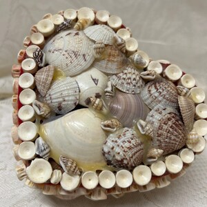 Vintage Seashell Box, Heart Shaped Shell Box ,sailor's Valentine ...