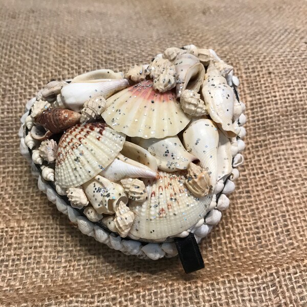 Heart Shaped Shell - Etsy