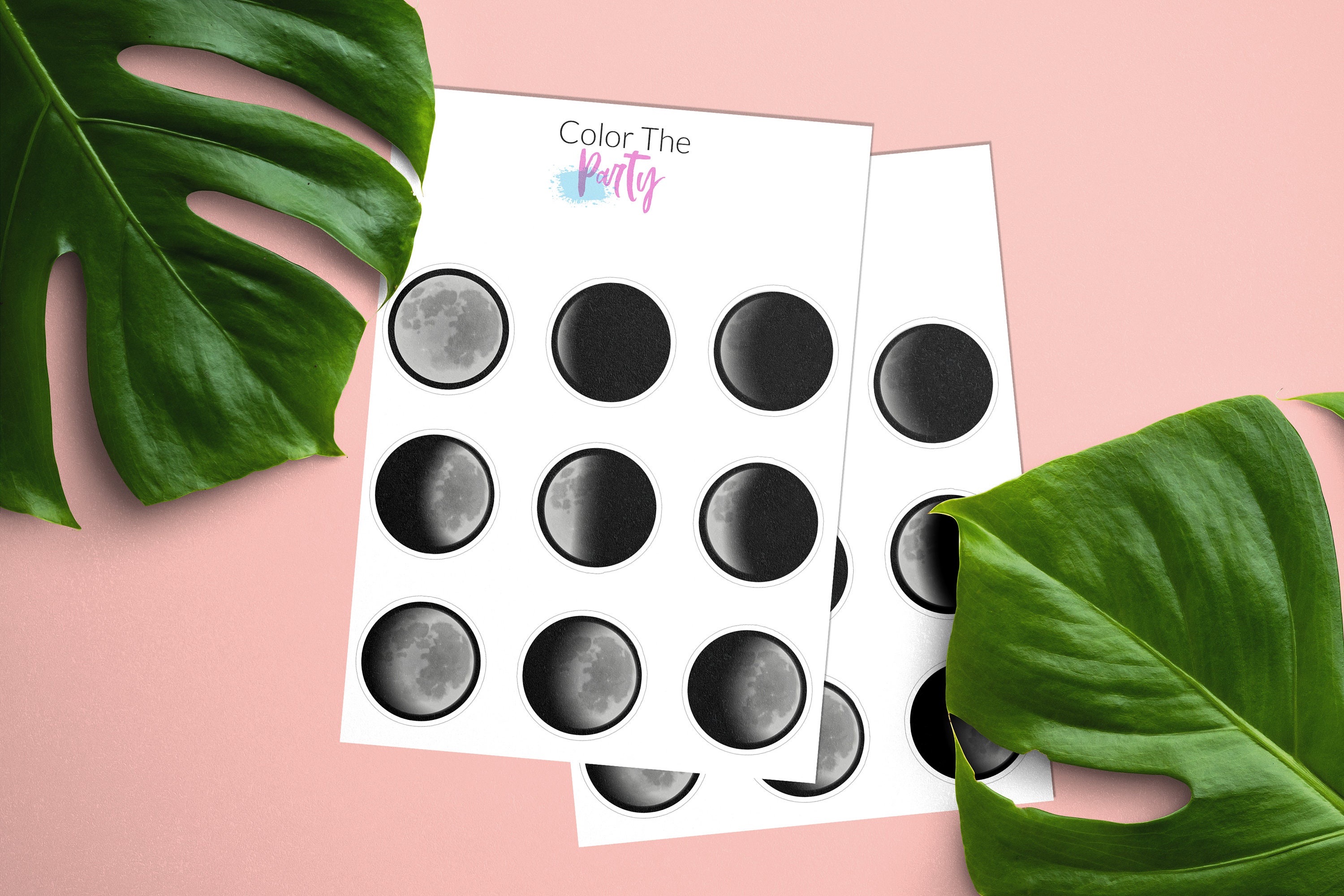 Moon Phases Sticker Sheet Full Moon Vinyl Stickers Lunar - Etsy