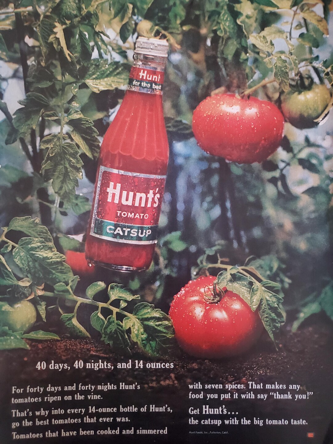 Hunt's Tomato Catsup Vintage Magazine Advertisements, Set of Two ...