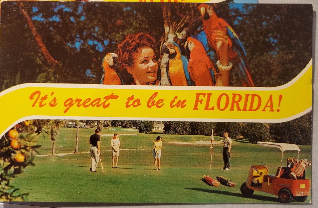 It's Great to Be in Florida! Vintage Color Photo Postcards, Travel ...