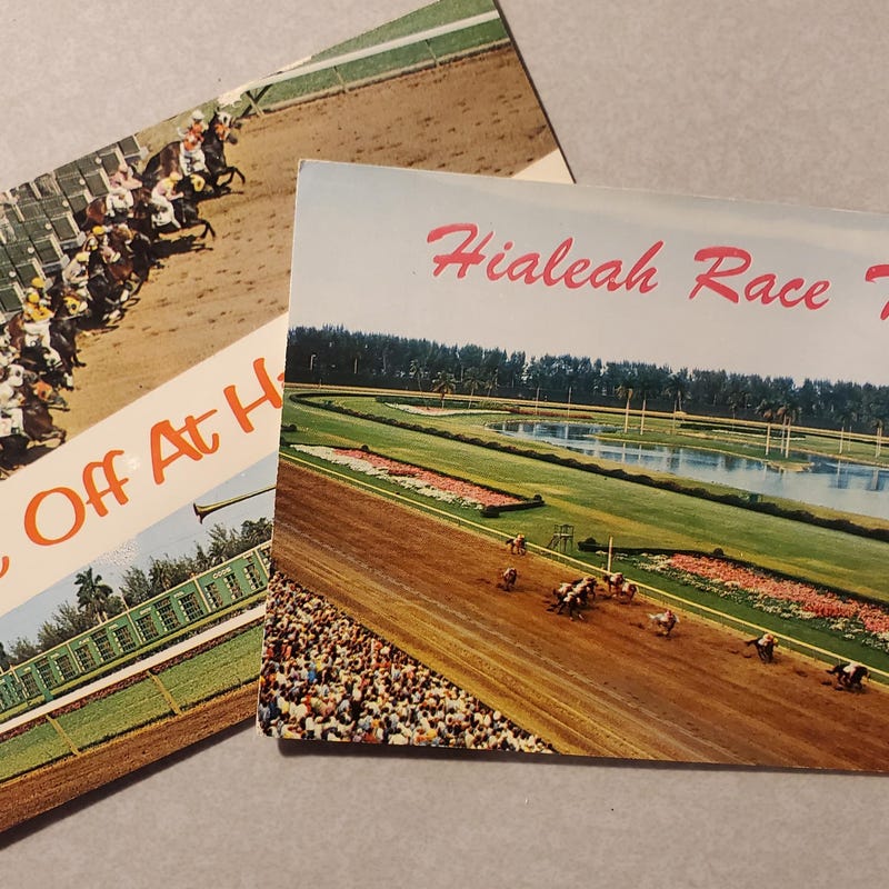 Horse Racing Postcards - Etsy UK