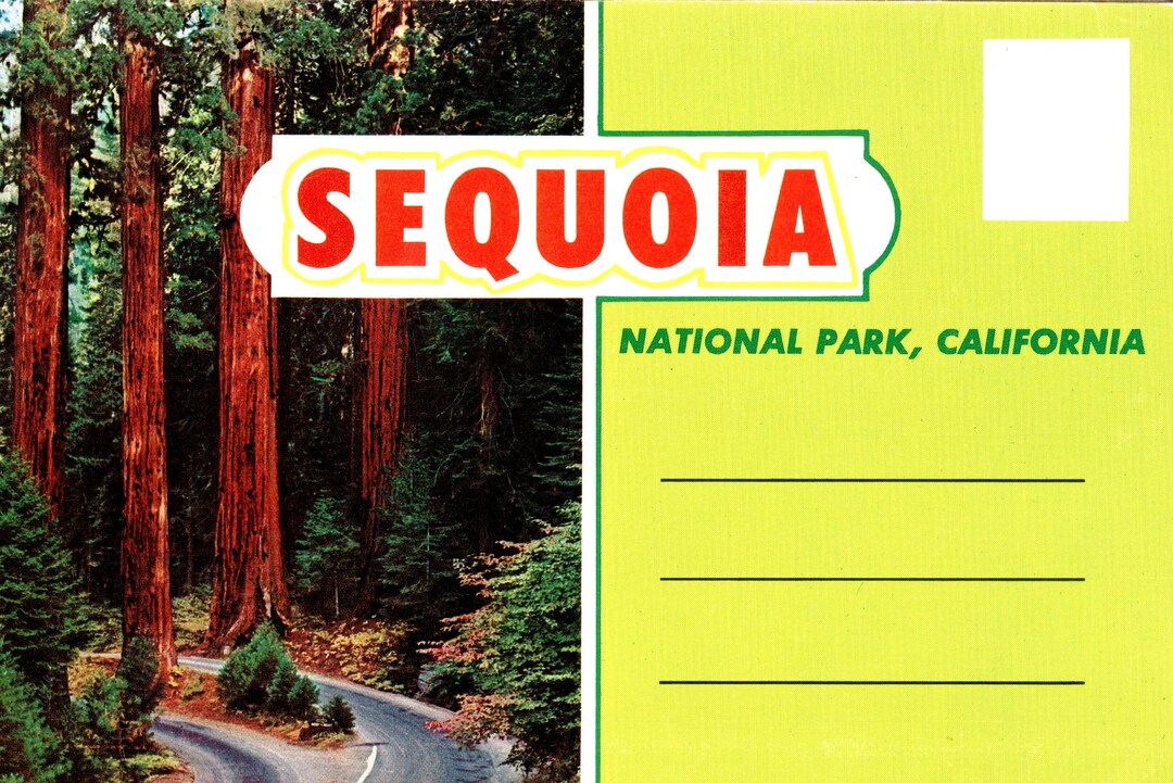 Sequoia National Park, Postcard Set, California Natural Wonder, Vintage ...