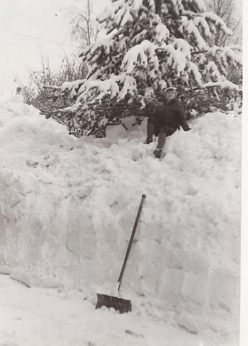 Three Cute Snow Bunny Pictures, Posing Near Large Banks of Snow After ...