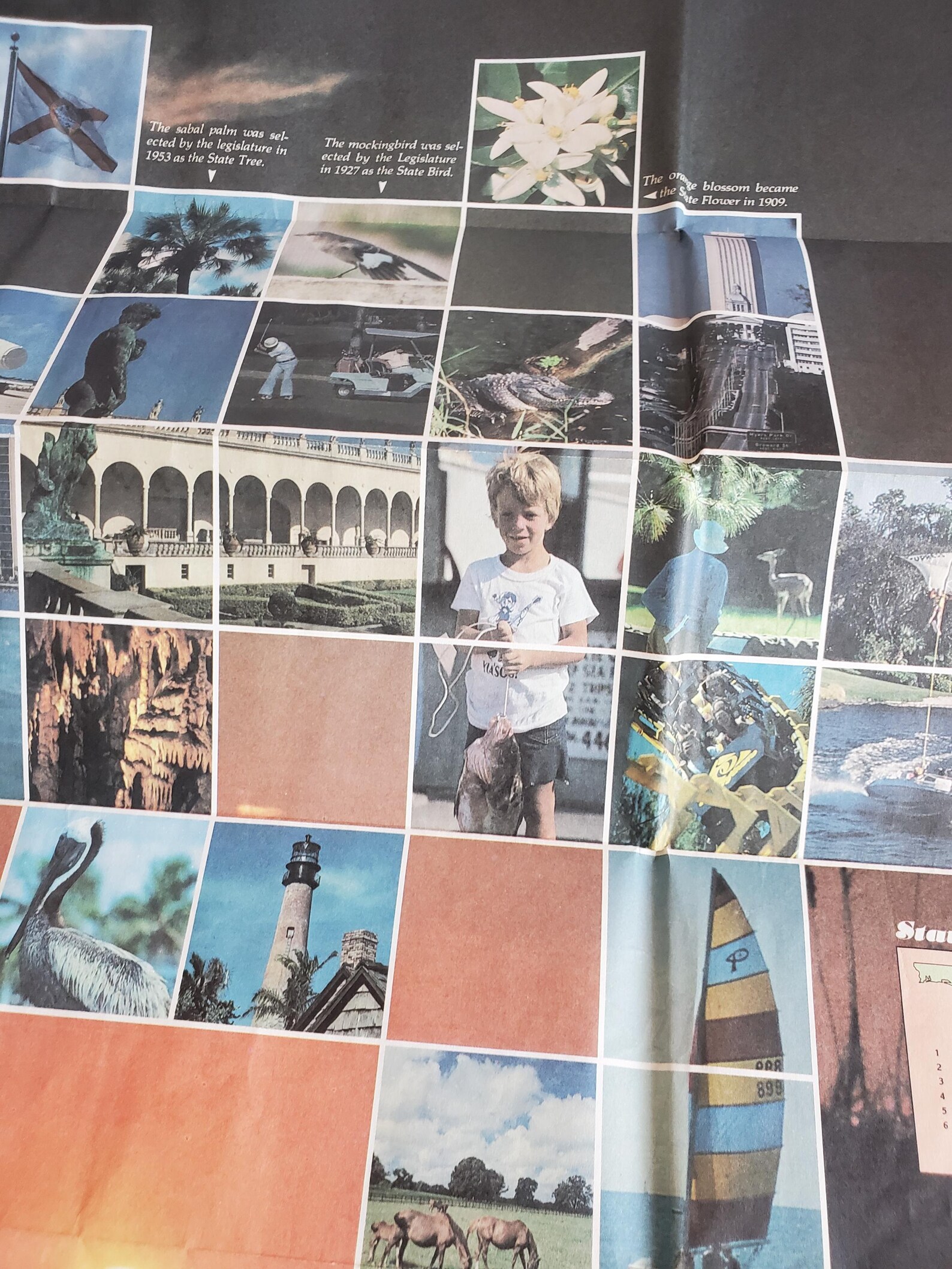 1980 Florida Road Map, Vintage Full Color Foldable Map, Vacation Travel ...