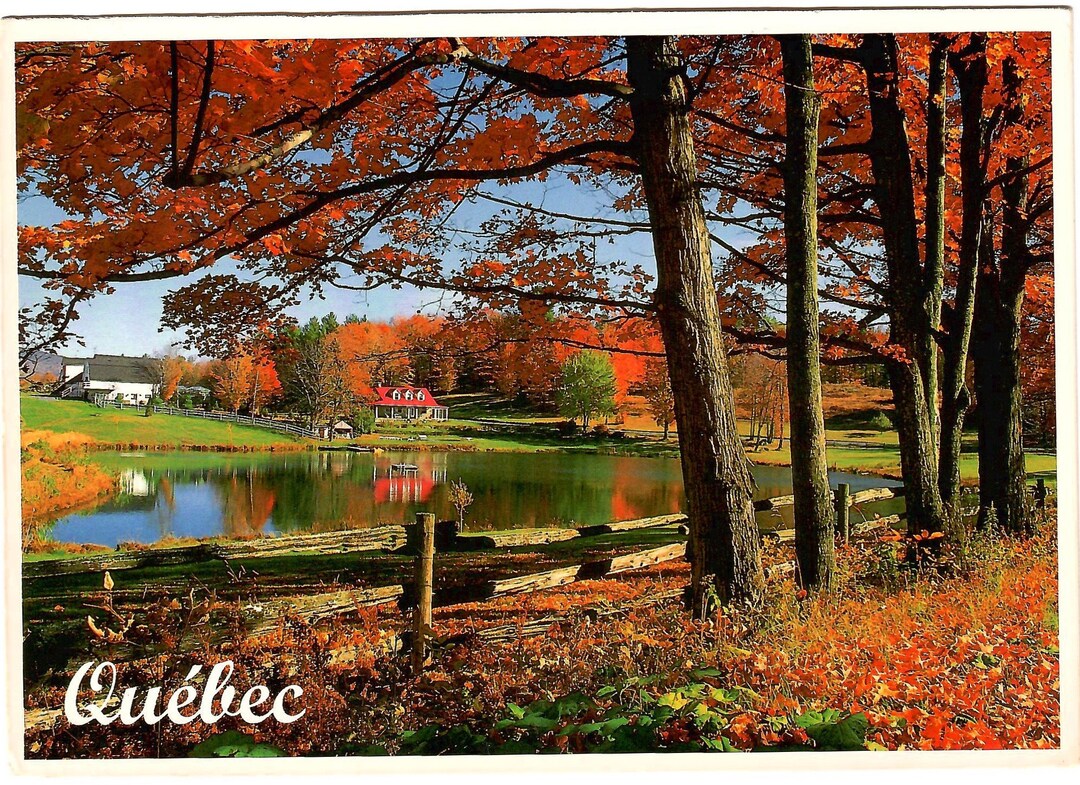 Quebec in the Fall, Stunning Image of Fall Leaves, Vintage Postcard ...