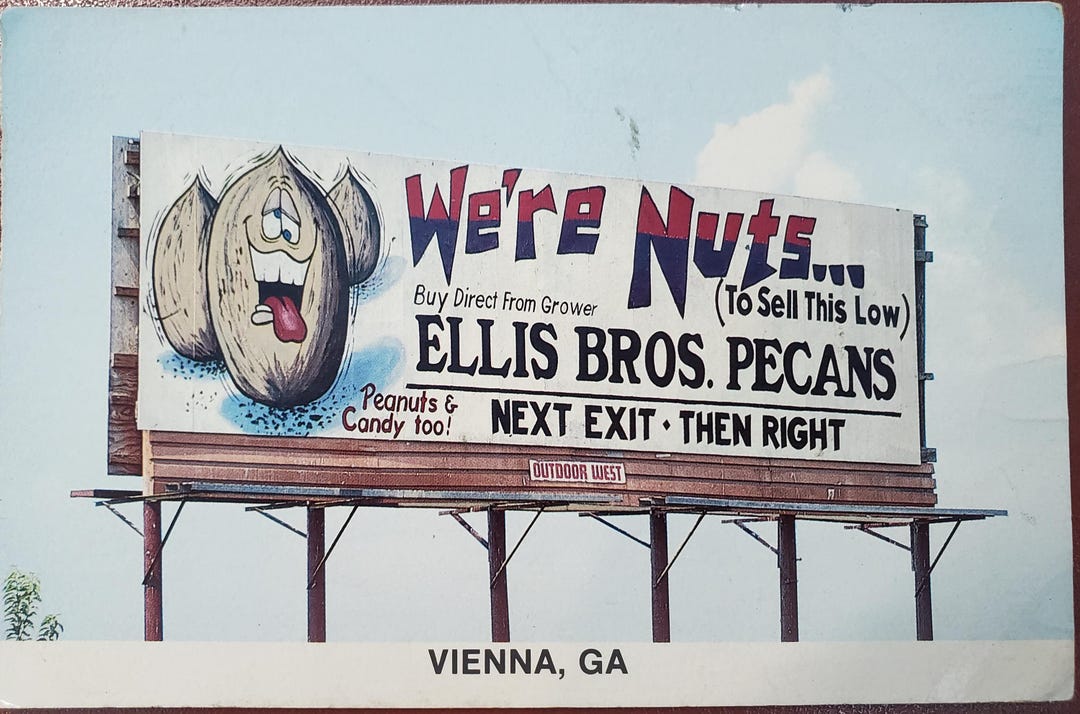 We're Nuts, Ellis Brothers Pecans, Vienna Georgia, Vintage Color Photo Postcard, Billboard ...