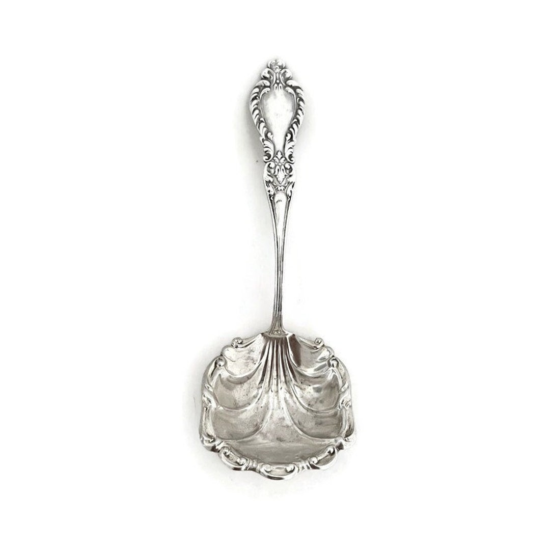 Sterling Silver Sugar Shell Spoon 1920s Ornate Clam Shell Bowl Silver ...