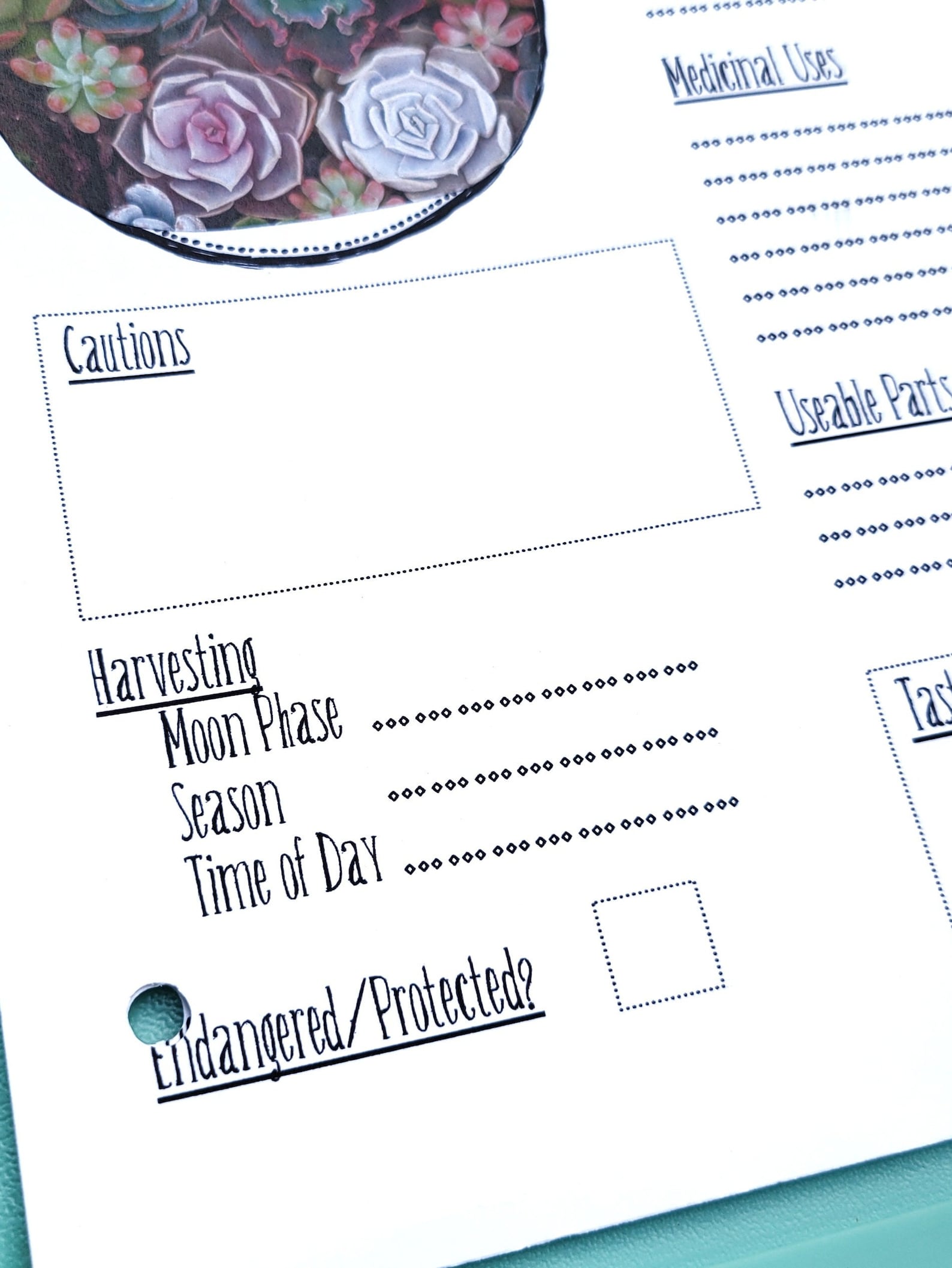 Printable Herbs BOS Blank Grimoire Book of Shadows Page | Empty ...