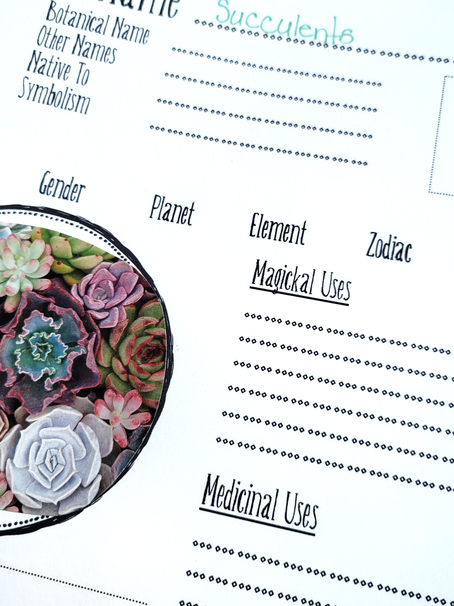 Printable Herbs BOS Blank Grimoire Book of Shadows Page | Empty ...