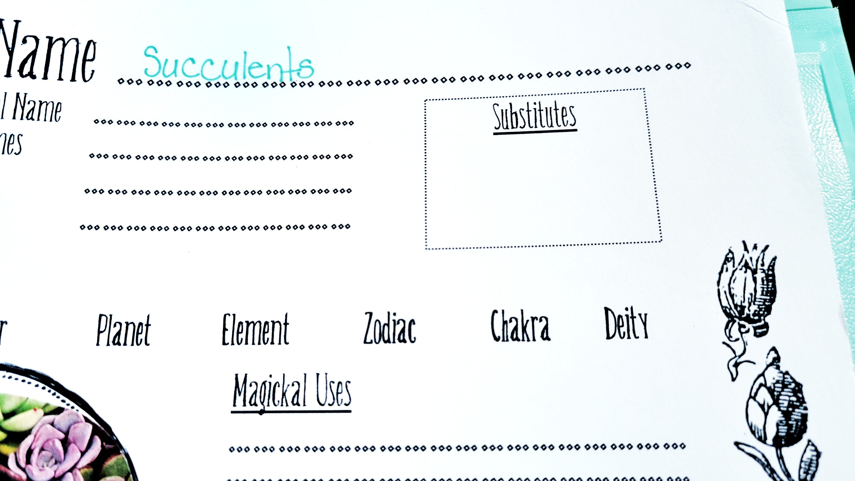 Printable Herbs BOS Blank Grimoire Book of Shadows Page | Empty ...