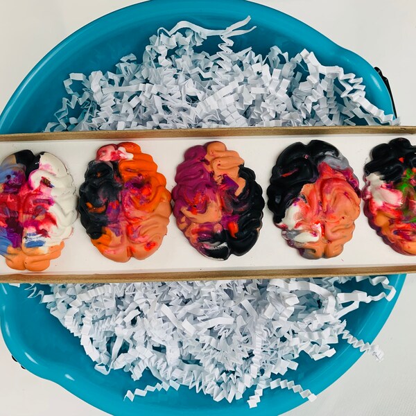 Brain Party Favors - Etsy
