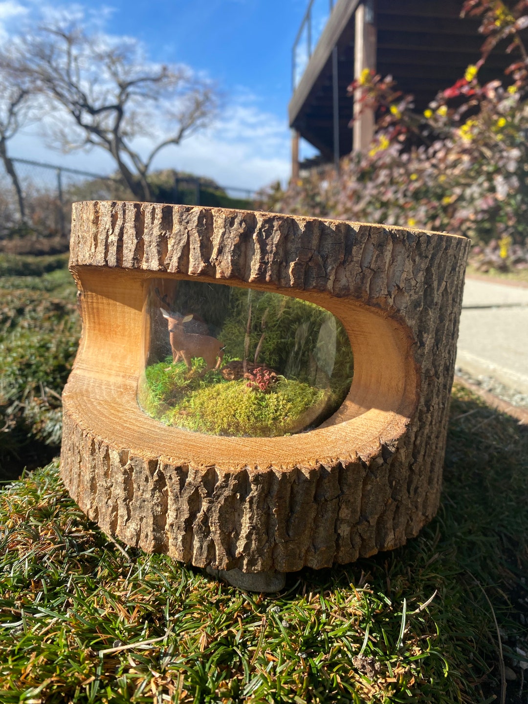 Vintage Wood Miniature Terrarium Decor - Etsy