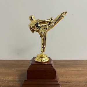 Custom Karate Trophy for Tae Kwon Do & Kickboxing - Personalized ...