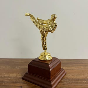 Custom Karate Trophy for Tae Kwon Do & Kickboxing - Personalized ...