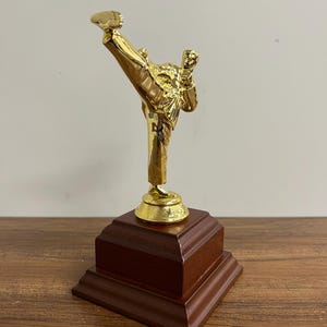 Custom Karate Trophy for Tae Kwon Do & Kickboxing - Personalized ...
