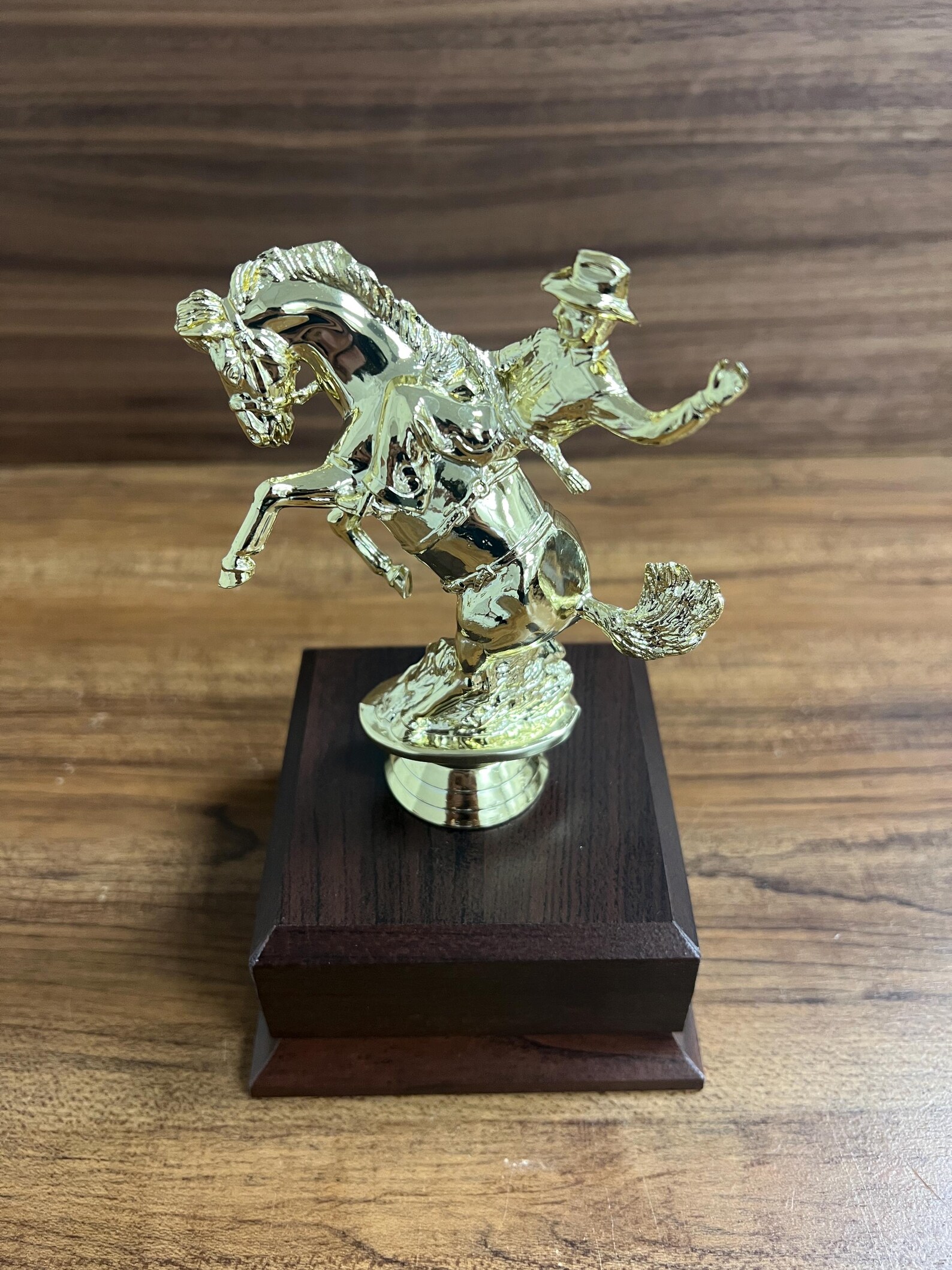 Custom Engraved Cowboy Trophy: Rodeo Award, Western Sports Prize - Etsy