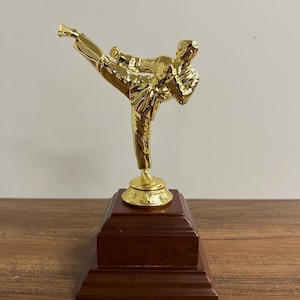 Custom Karate Trophy for Tae Kwon Do & Kickboxing - Personalized ...