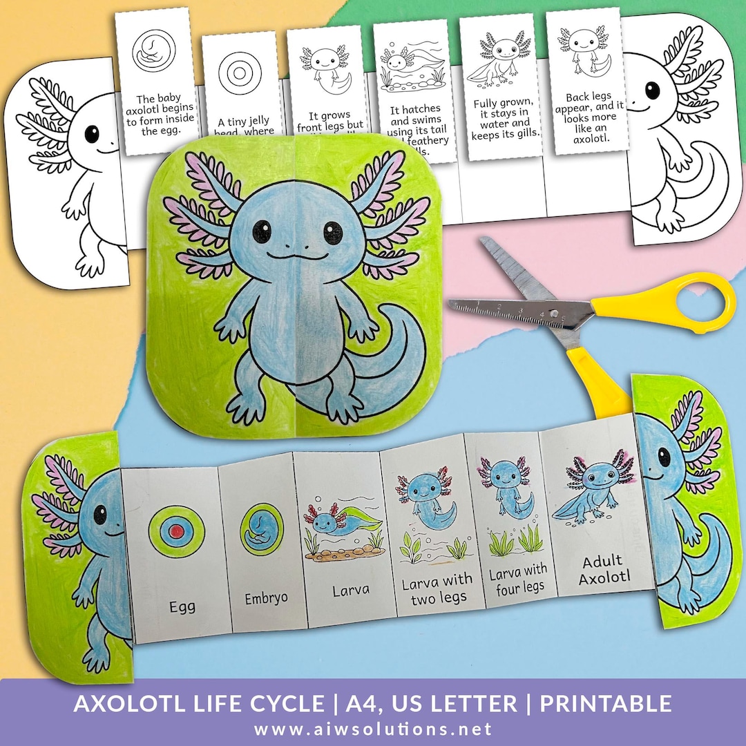 Axolotl Life Cycle Craft | Cut, Fold & Learn Science Printable, Axolotl ...