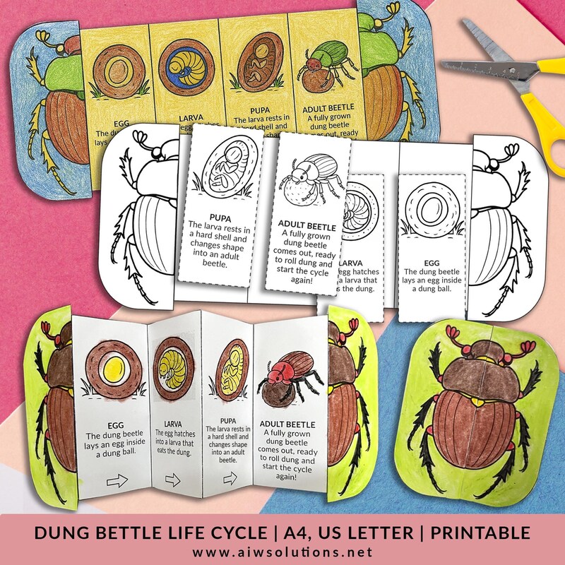 Dung Beetle Art - Etsy