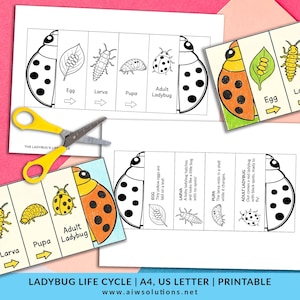 Ladybug Life Cycle Stages for Kids, Easy Insect Life Cycle Craft ...