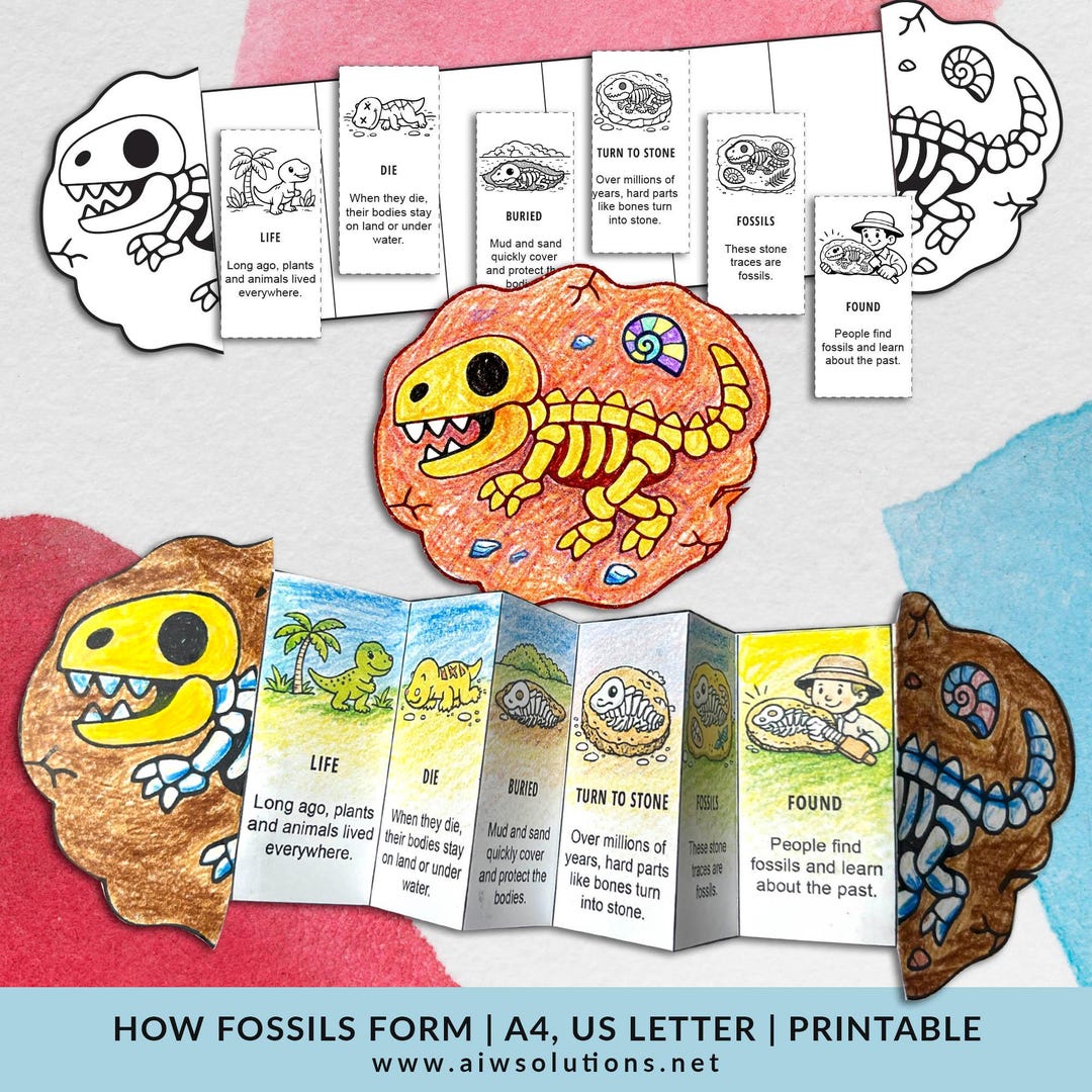 How Fossils Form Activity, Fossil Life Cycle Craft, Cut and Paste ...