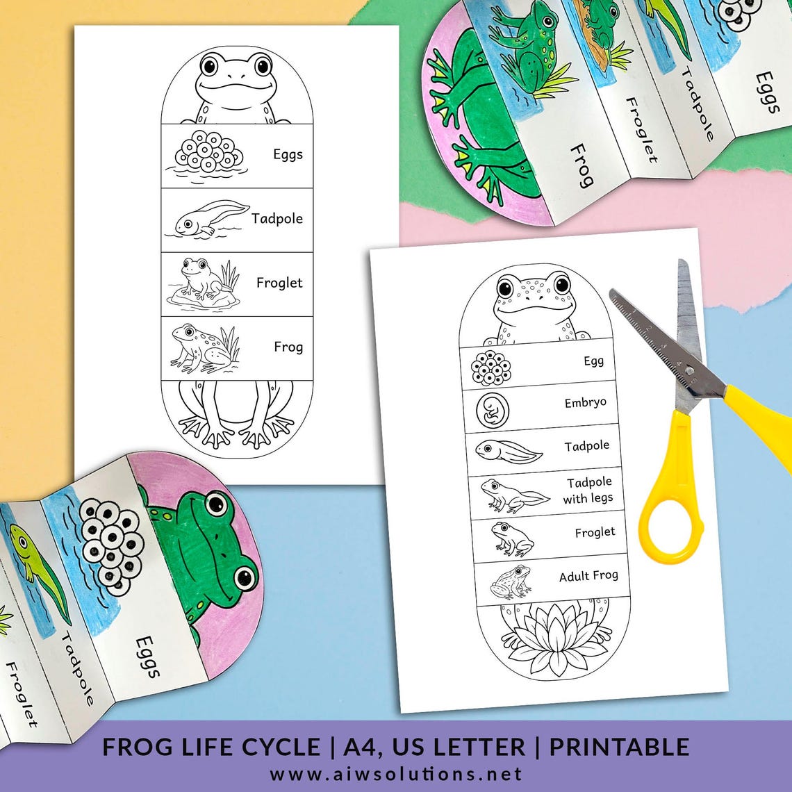 Life Cycle of a Frog Foldable Kids' Craft, Frog Worksheet, Frog Life ...
