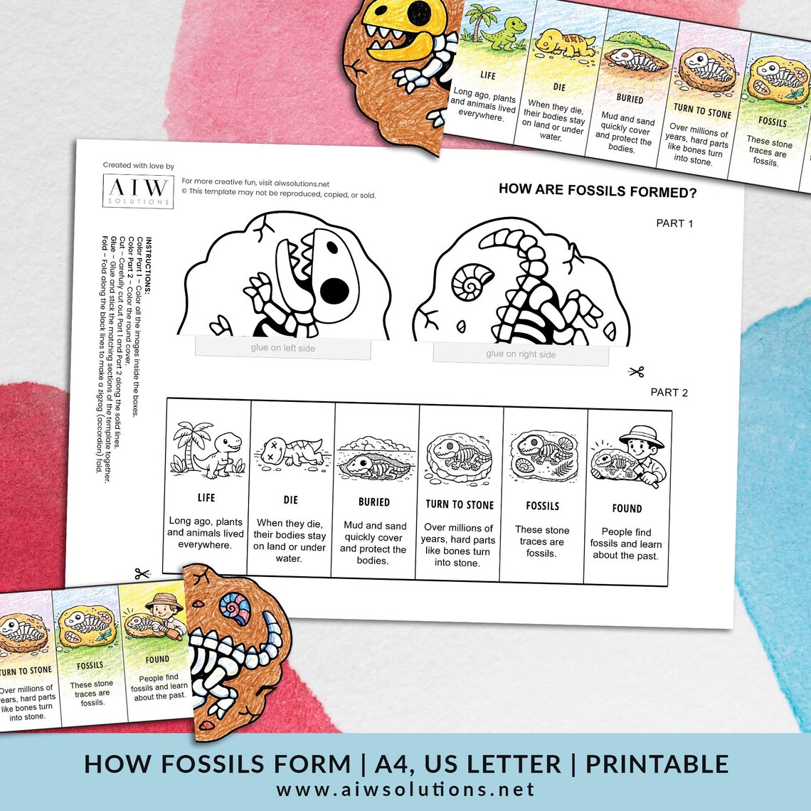 How Fossils Form Activity, Fossil Life Cycle Craft, Cut and Paste ...
