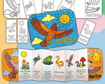 Food Chain Foldable, Food Chain Activity, Life Science Craft,stem ...